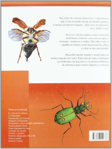 Insectos-y-Bichos-Enciclopedia-del-Saber-0-0 – Wikifaunia, tu ...